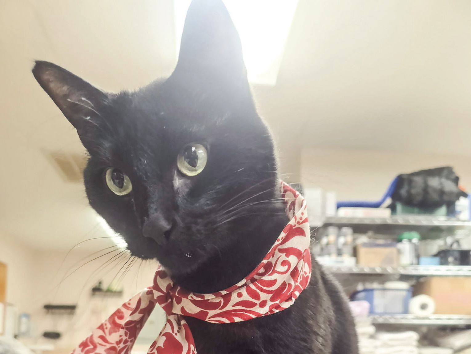 Students enjoy OJT in ag, natural resource fields